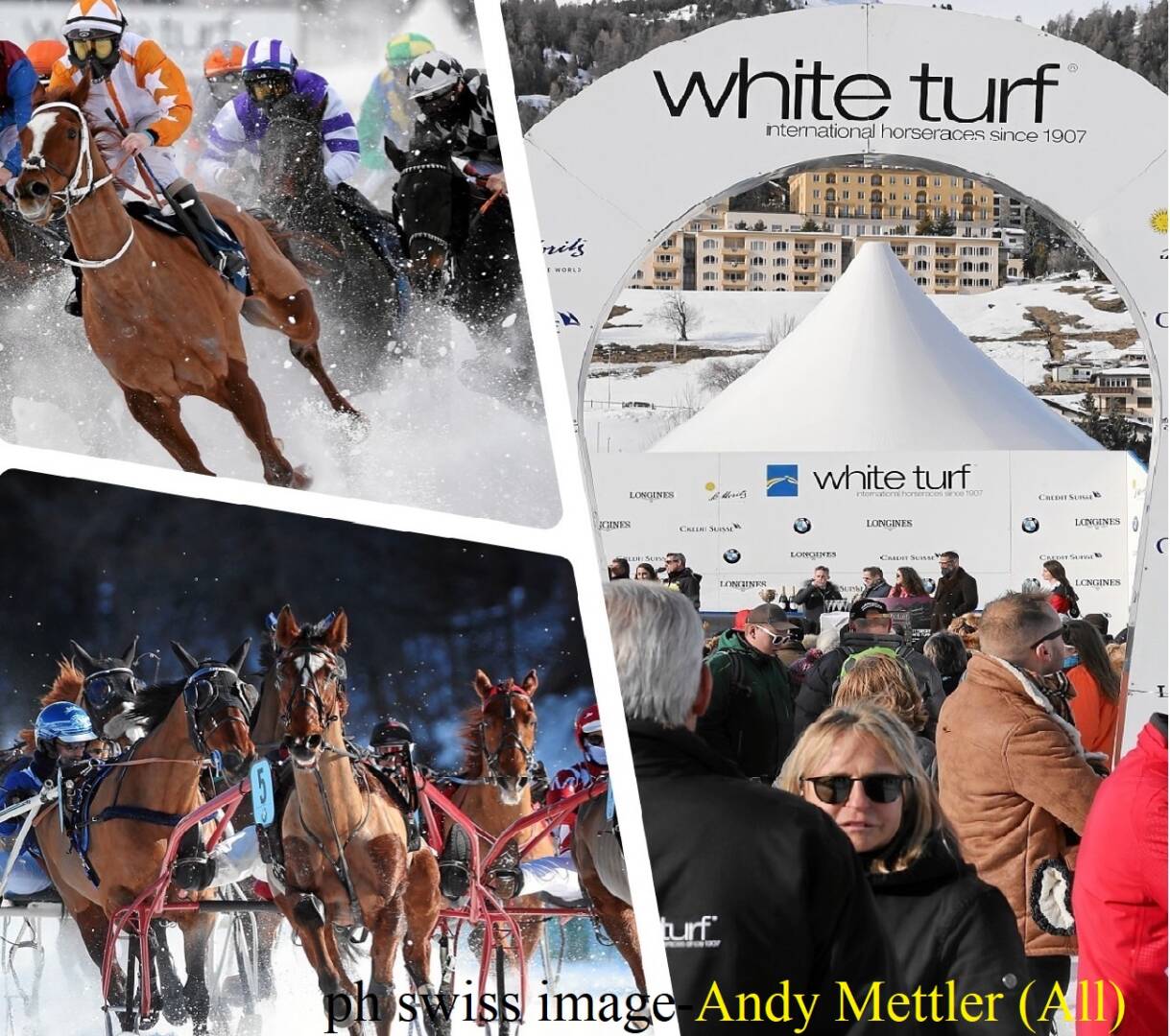 White Turf St. Moritz 2022, corse di cavalli sulla neve da 114 anni - Impressioni di Viaggio