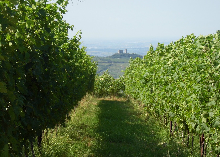 Alla scoperta dei territori dell’Est Veronese lungo l'itinerario de "La ...